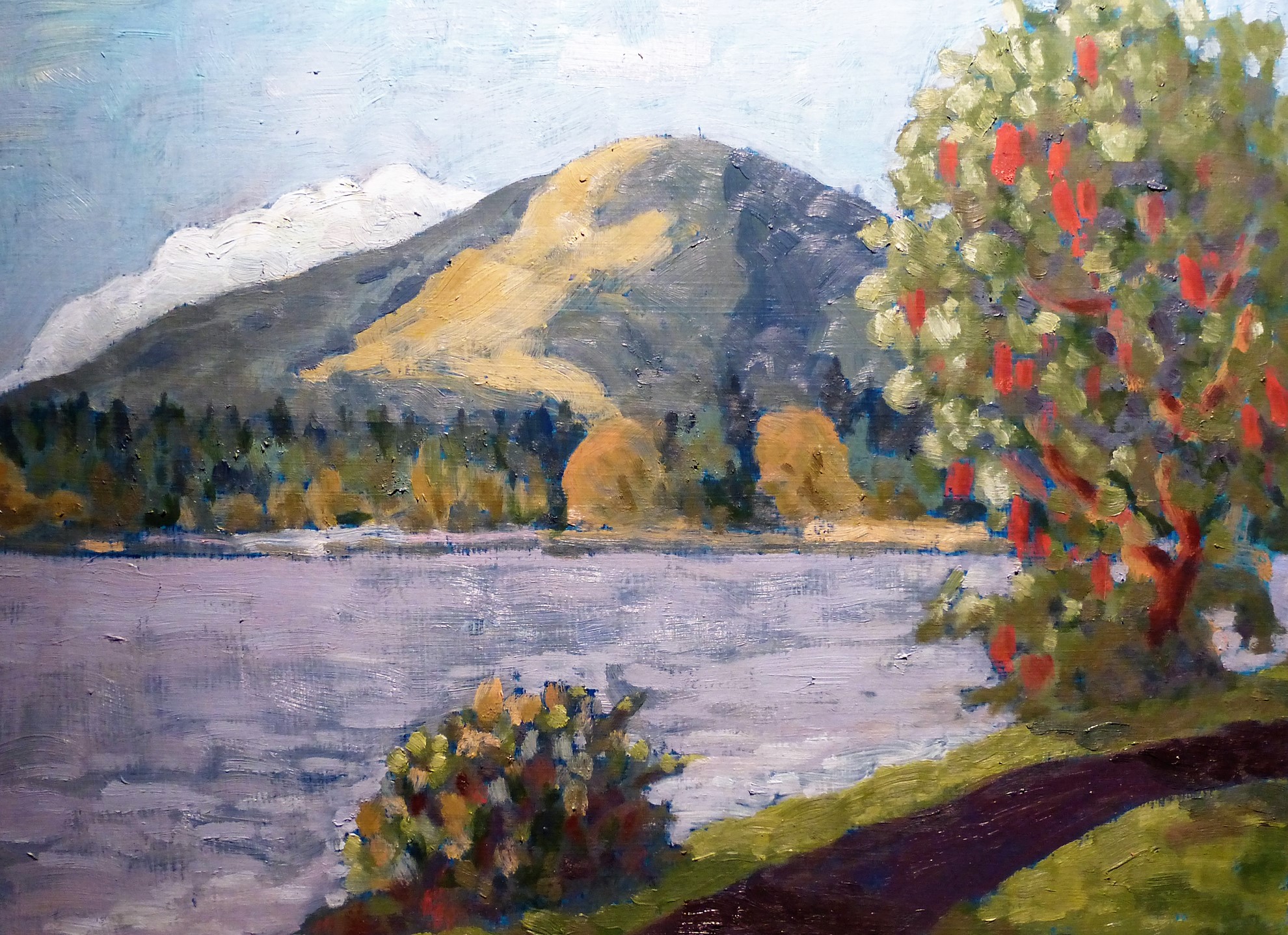 Mount Tuam (Salt Spring Island) – Poems, Pictures and Stories